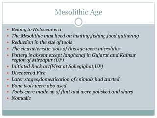 The stone age | PPTX