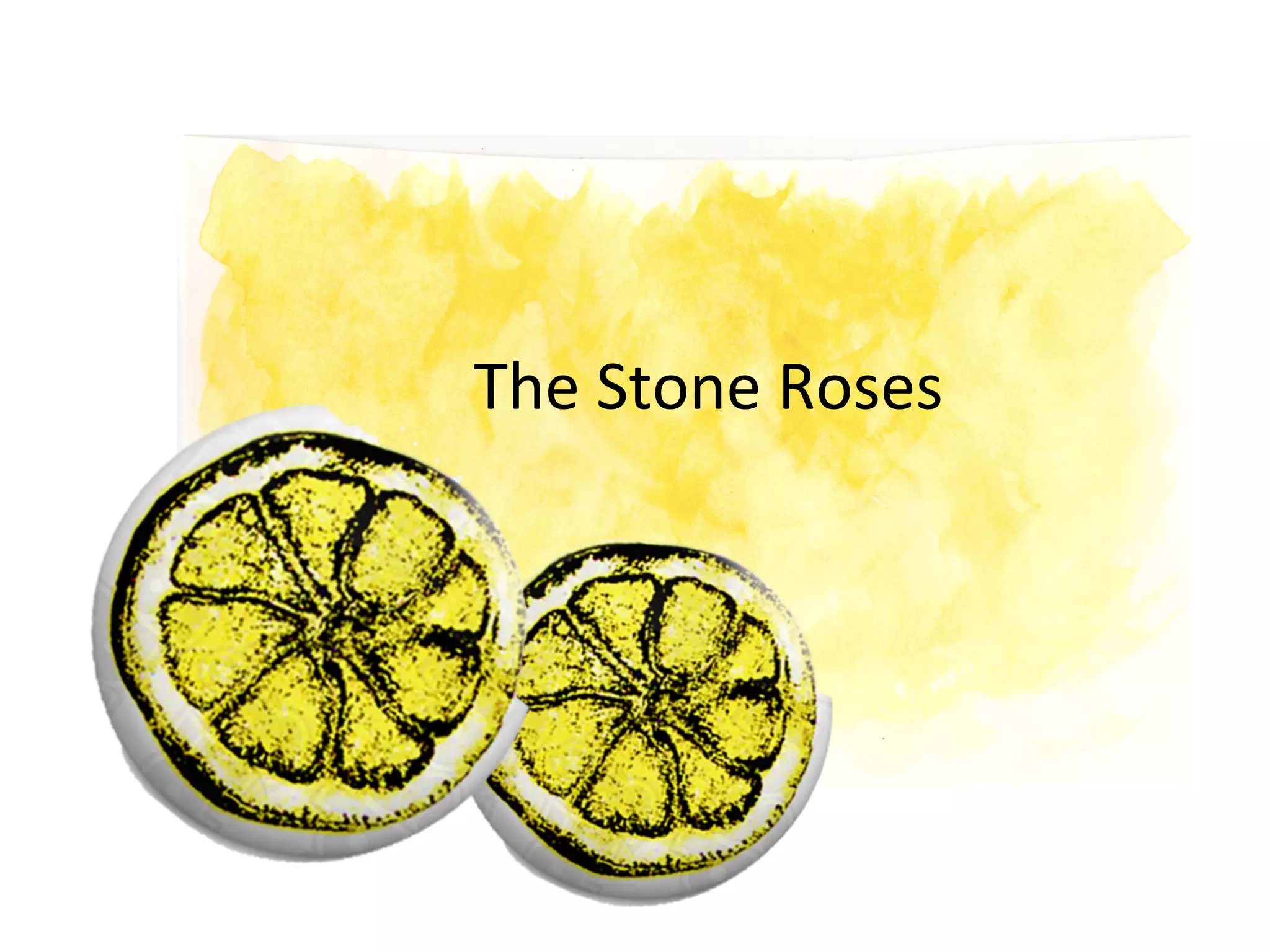 The Stone Roses | PDF