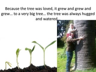 The story of THE MAGICAL TREE small tribute to environment day | PPTX