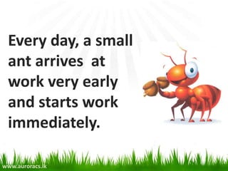 The story of ant | PPTX