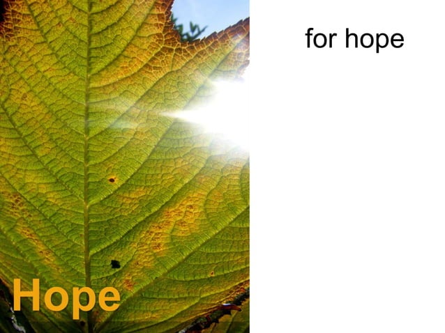 The Story Of A Shout Out | PPT