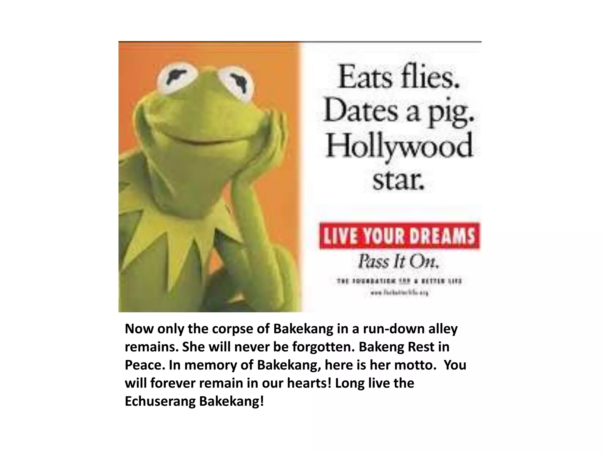 The Story of Bakekang | PPSX