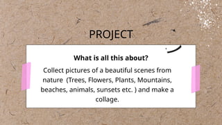 The Story Of Creation Presentation 7 days | PPTX