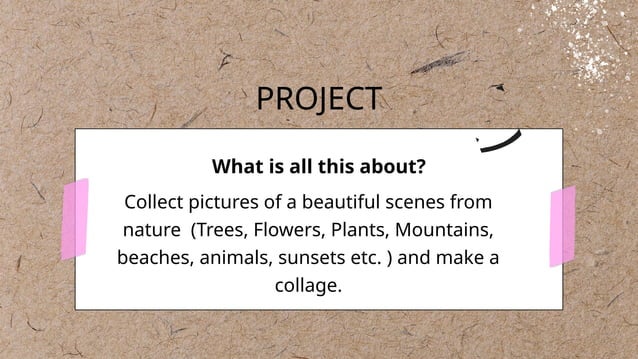 The Story Of Creation Presentation 7 days | PPTX