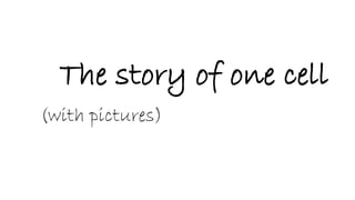 The story of one cell | PPT