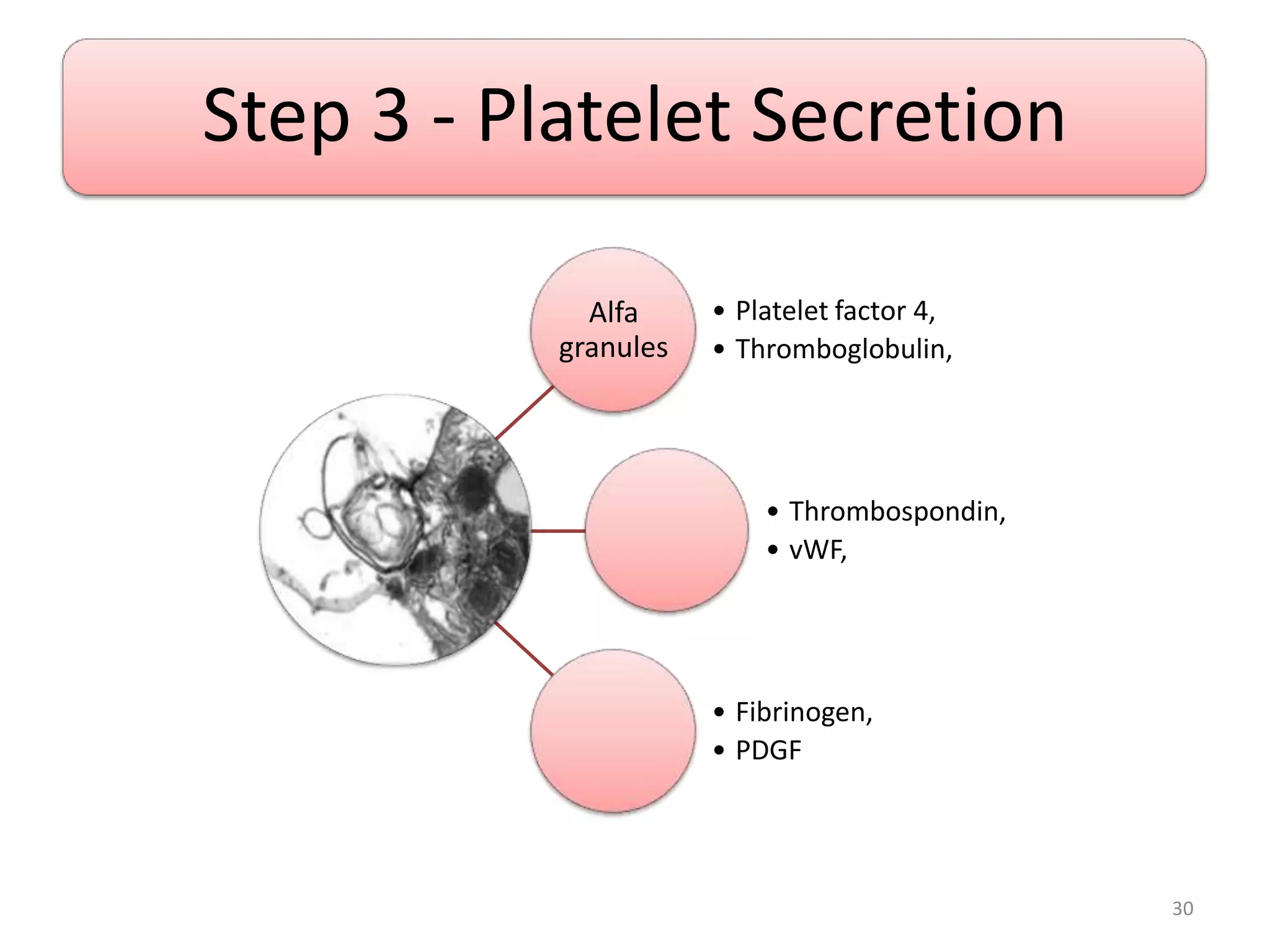 The Story of Platelets | PPT