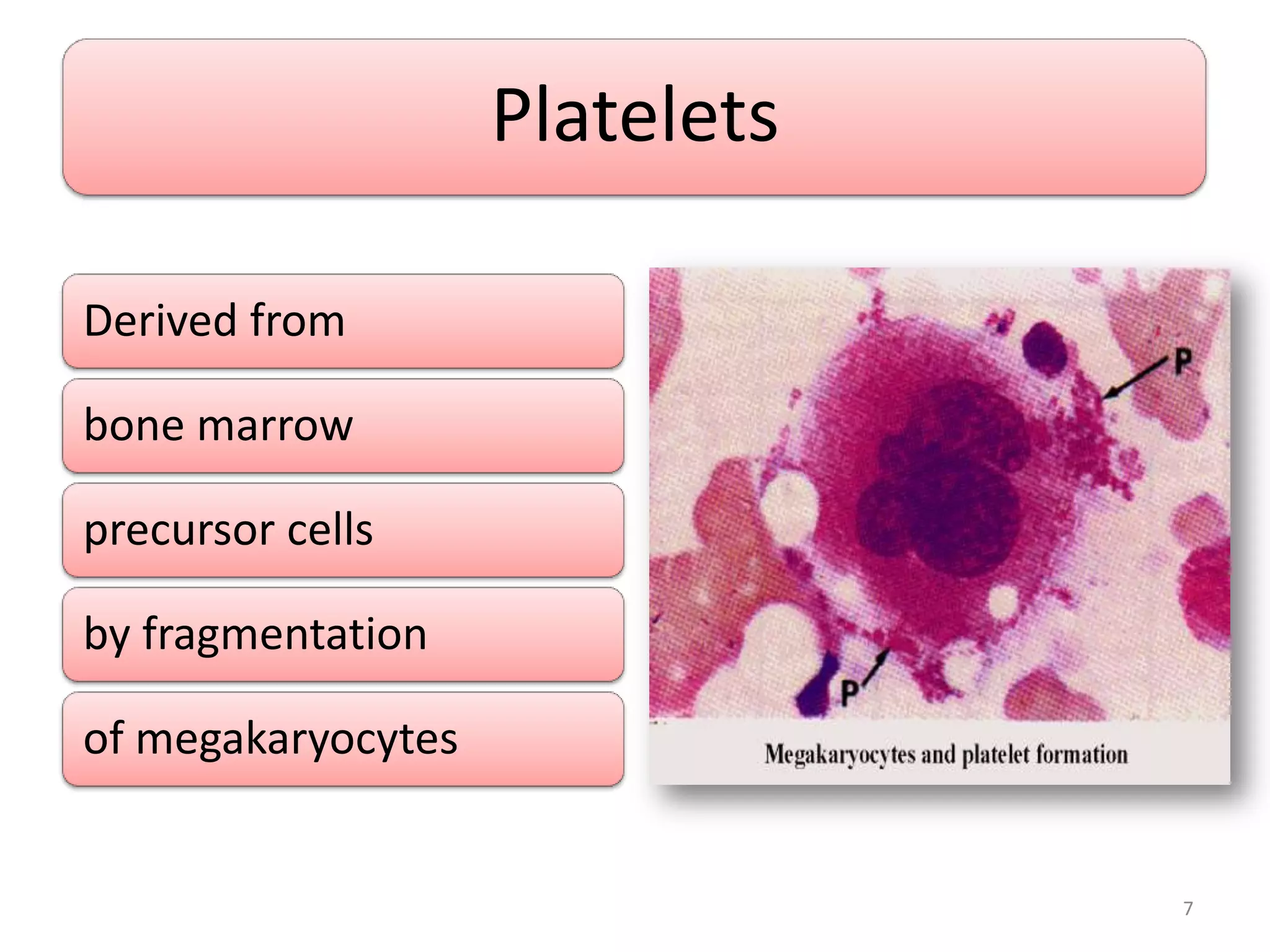 The Story of Platelets | PPT