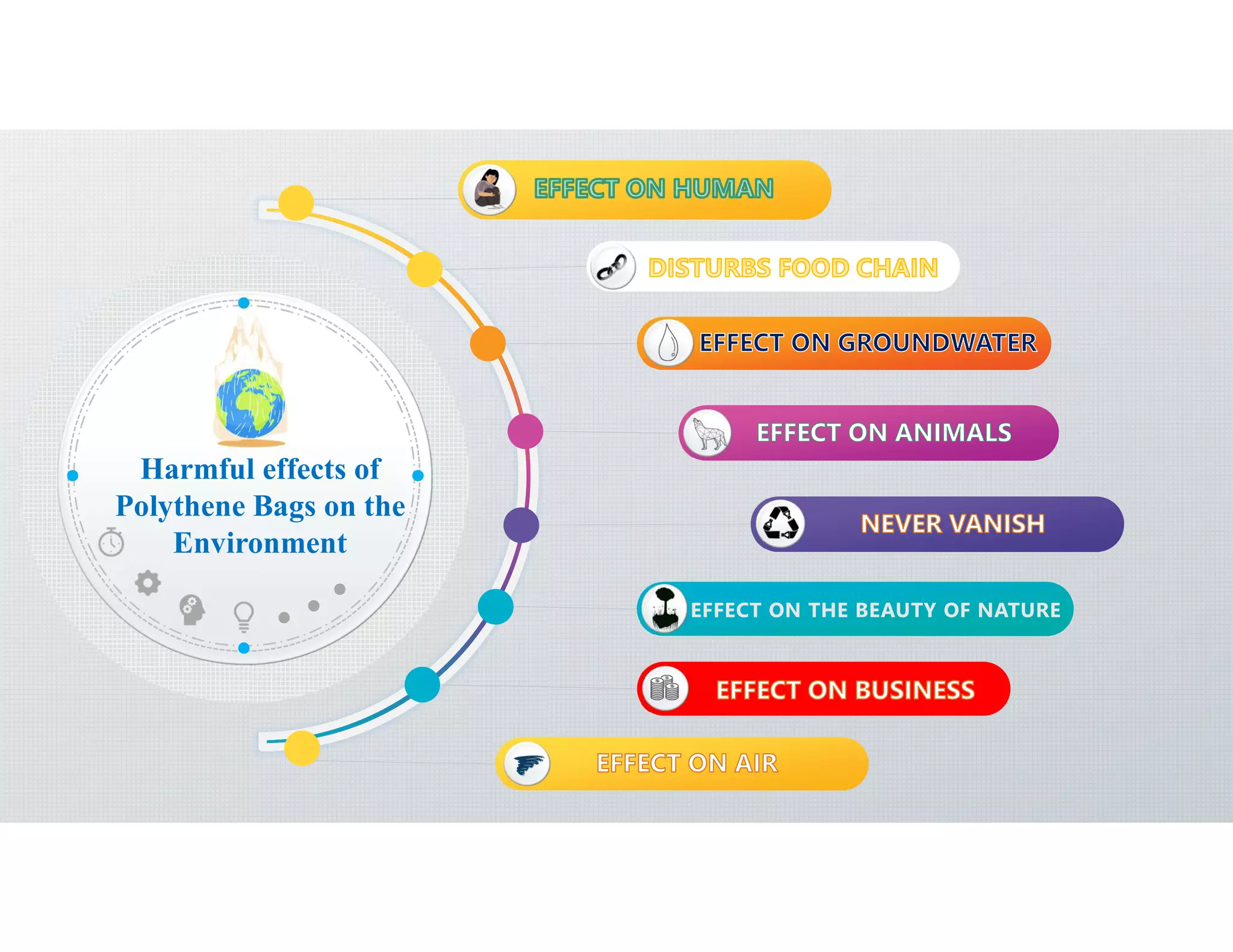 The story of Polythene Bags.pdf