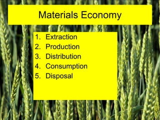 The story of stuff | PPT