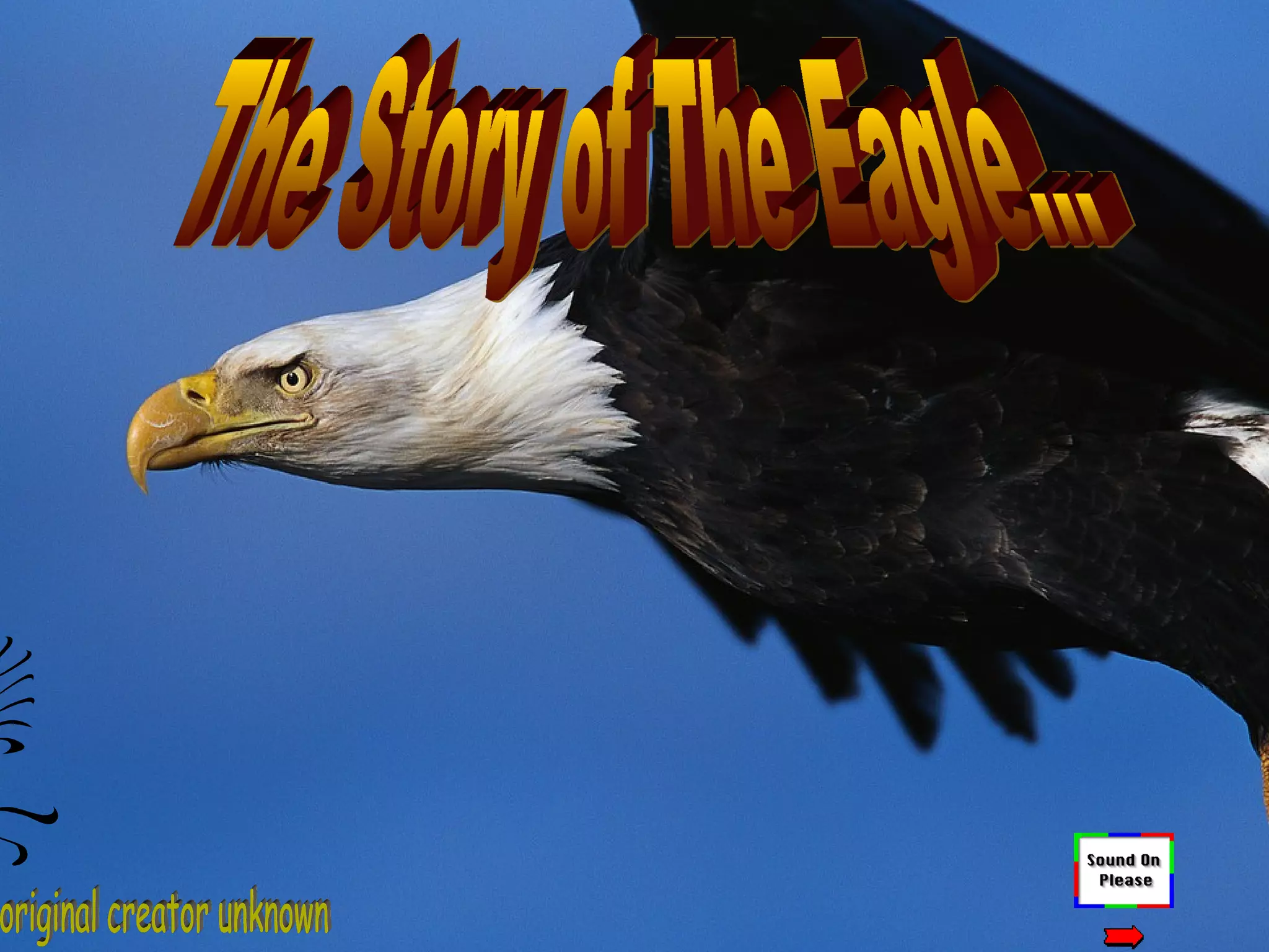 The story of the eagle | PPS