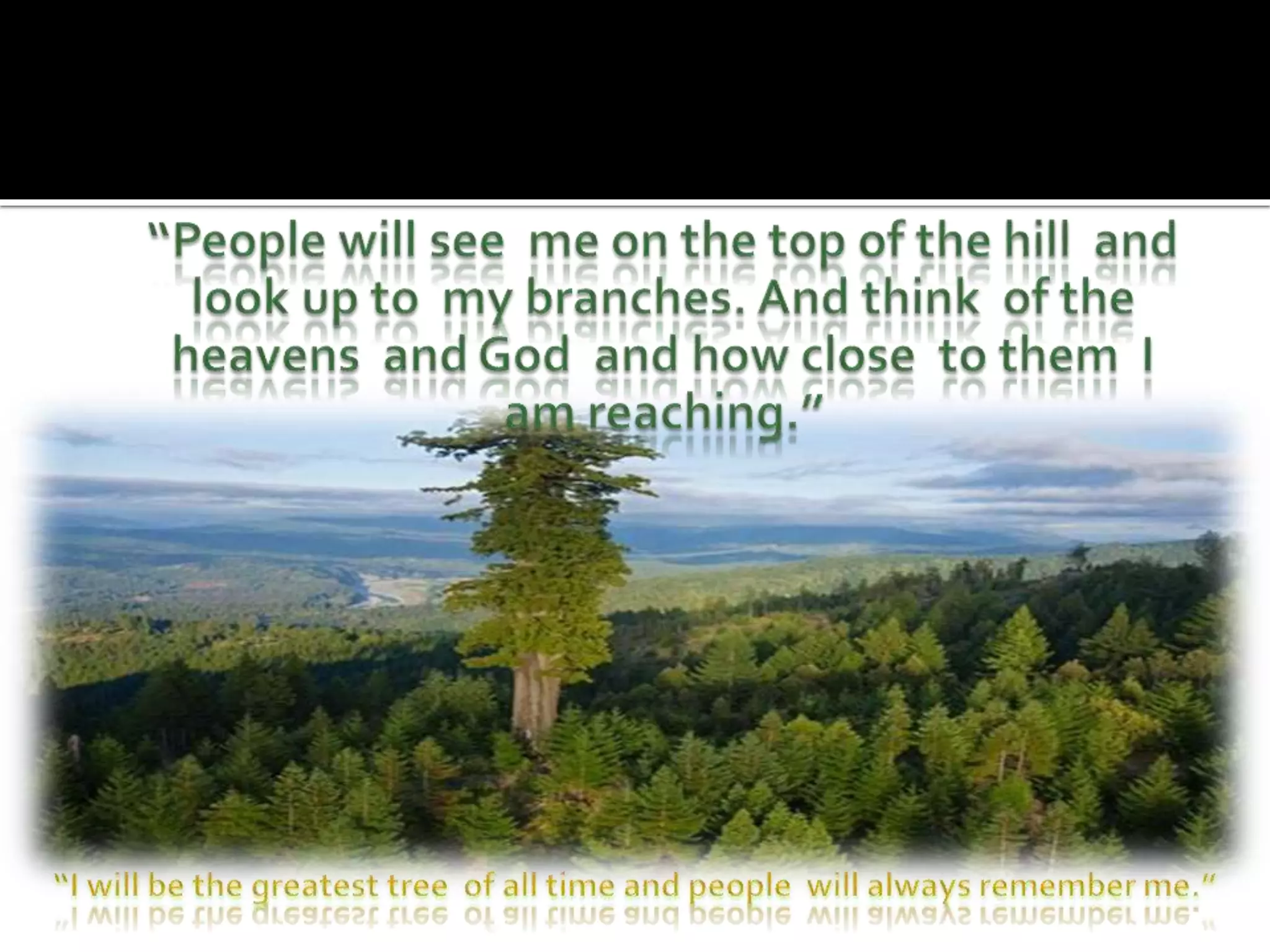 The Story of the Three Trees | PPTX