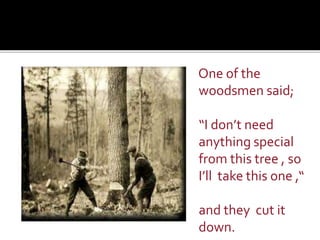 The Story of the Three Trees | PPTX