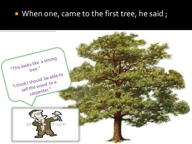 The Story of the Three Trees
