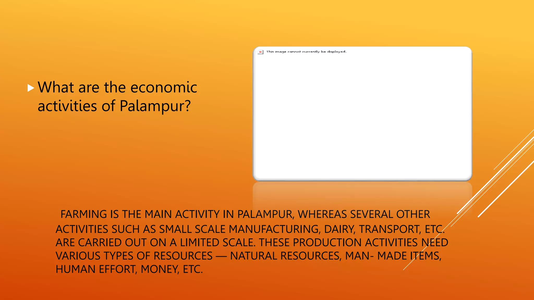 The Story of Village Palampur.pptx