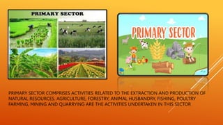 The Story of Village Palampur.pptx