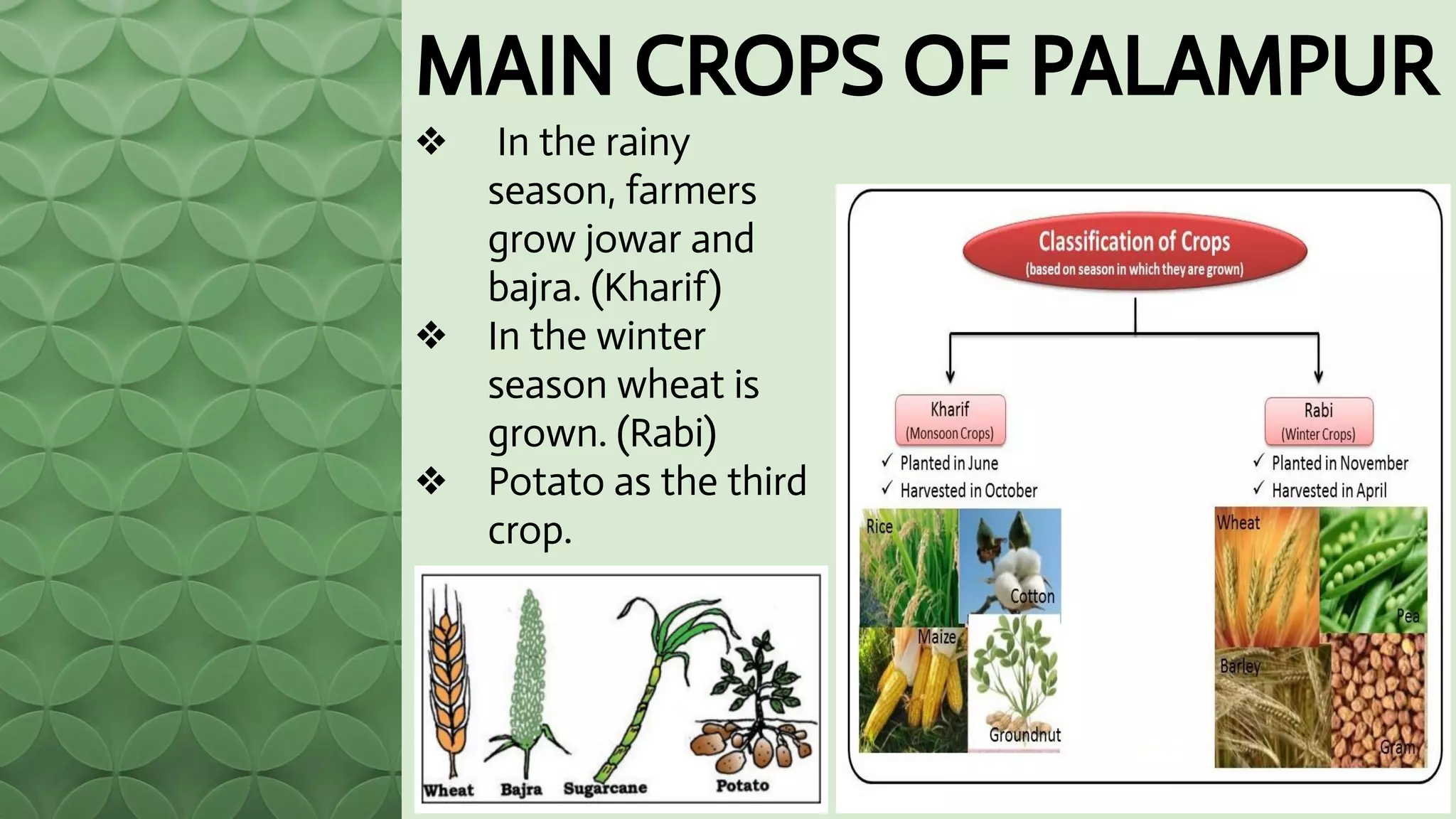 The Story Of Village Palampur | PDF
