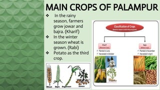 The Story Of Village Palampur | PDF