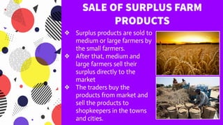 The Story Of Village Palampur | PDF