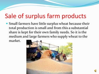 The story of village palampur | PPT