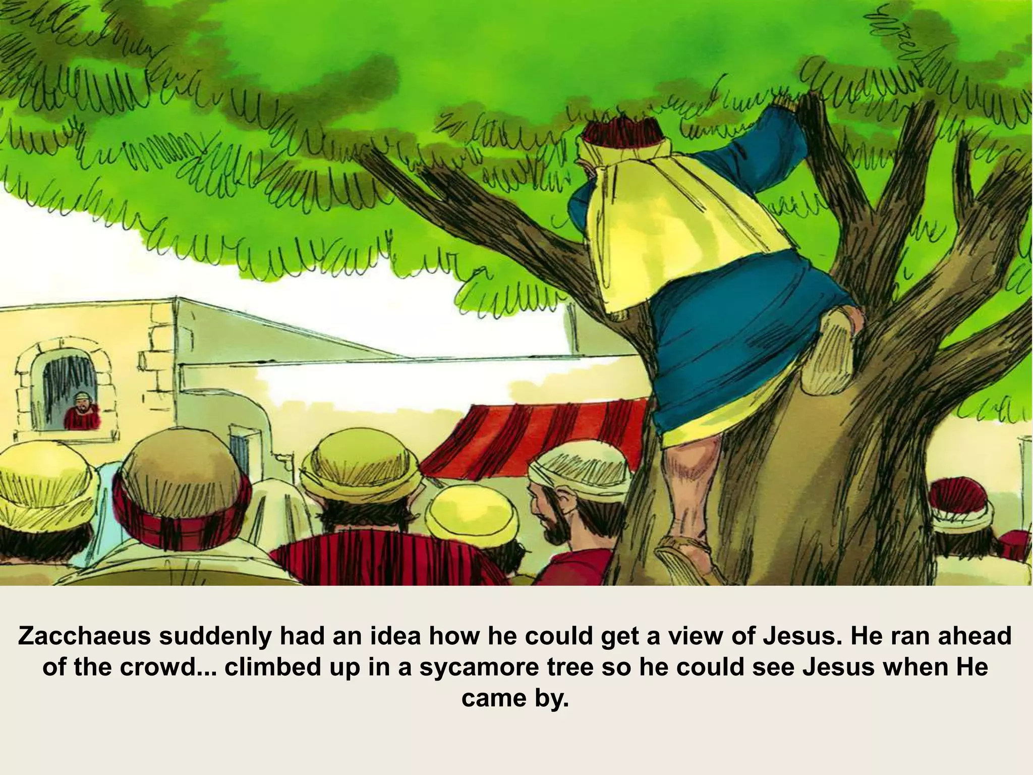 The Story of Zacchaeus - The Repentant Tax Collector | PPTX