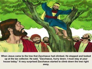 The Story of Zacchaeus - The Repentant Tax Collector | PPTX