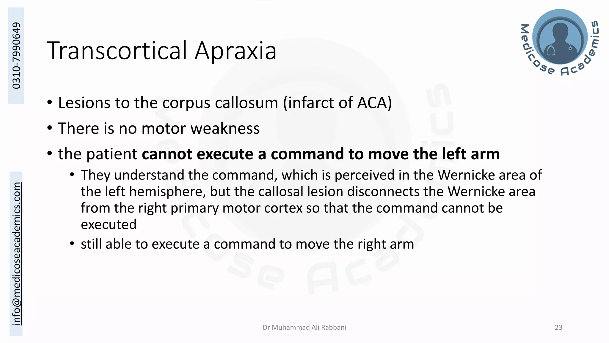 The Structural and Functional Localization of Cerebral Cortex | PDF