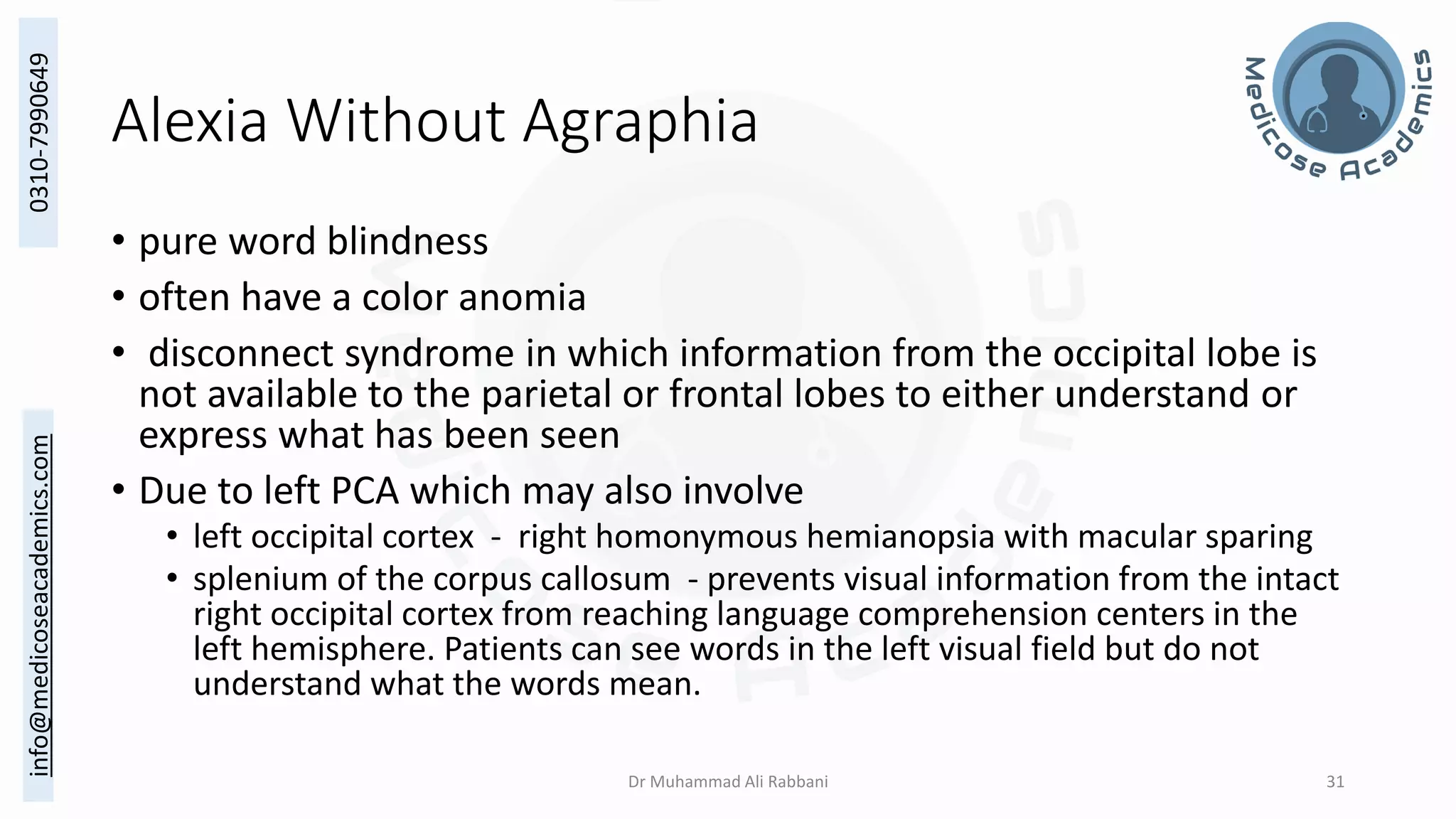 The Structural and Functional Localization of Cerebral Cortex | PDF