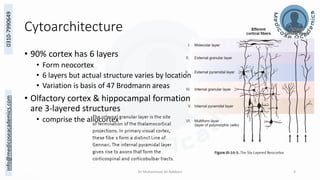 The Structural and Functional Localization of Cerebral Cortex | PDF