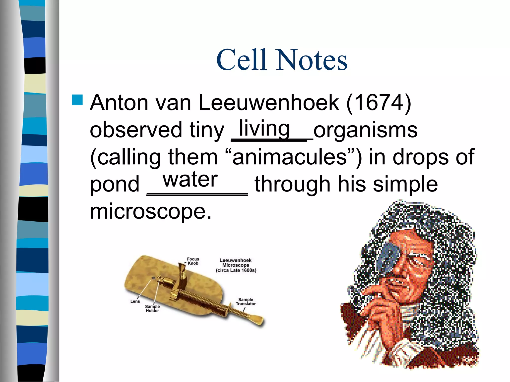 The structure and function of cells blackboard | PPT