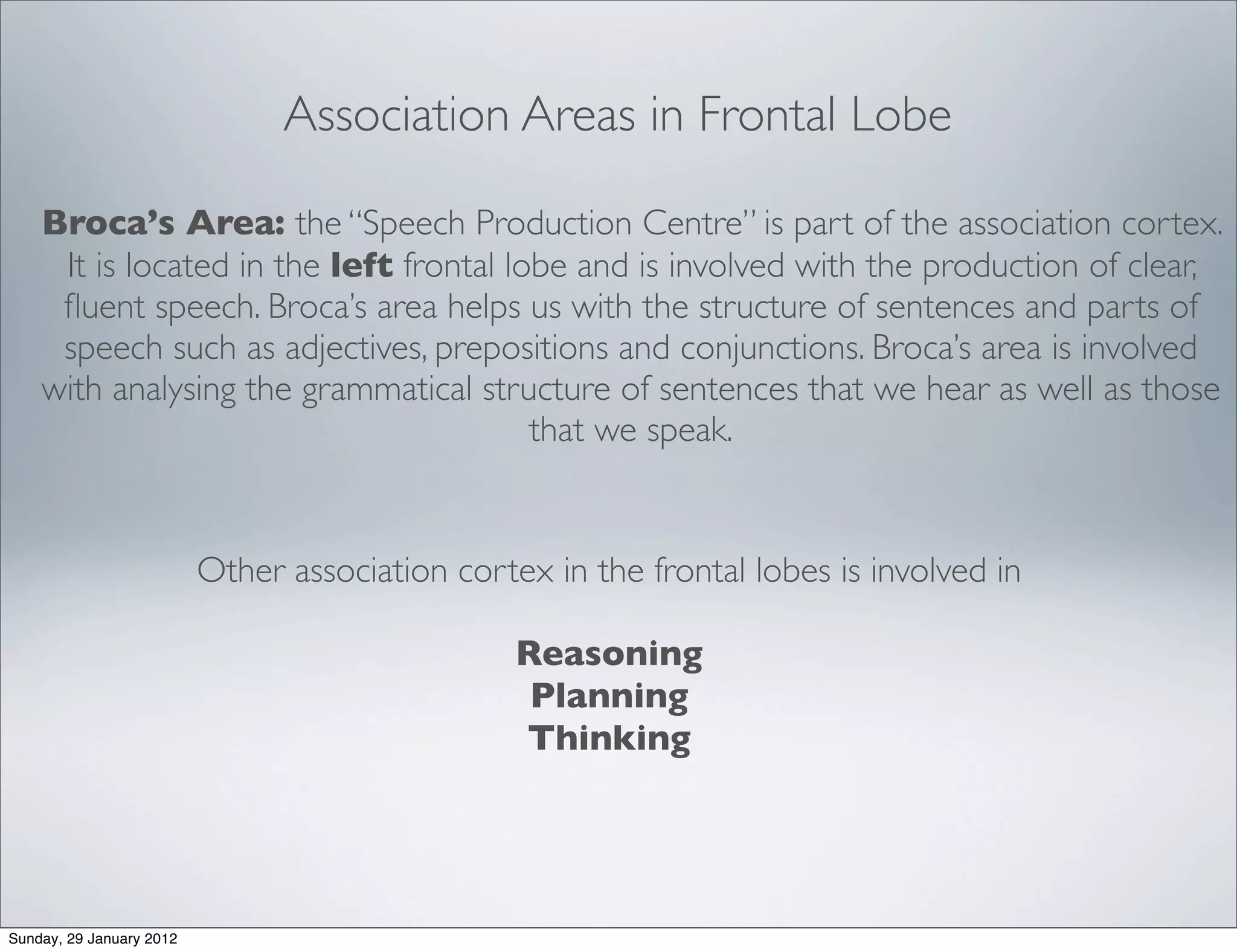 The structure and function of the brain | PDF