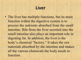 The structure and function of the digestive system | PPT