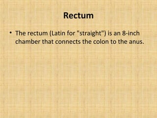 The structure and function of the digestive system | PPT