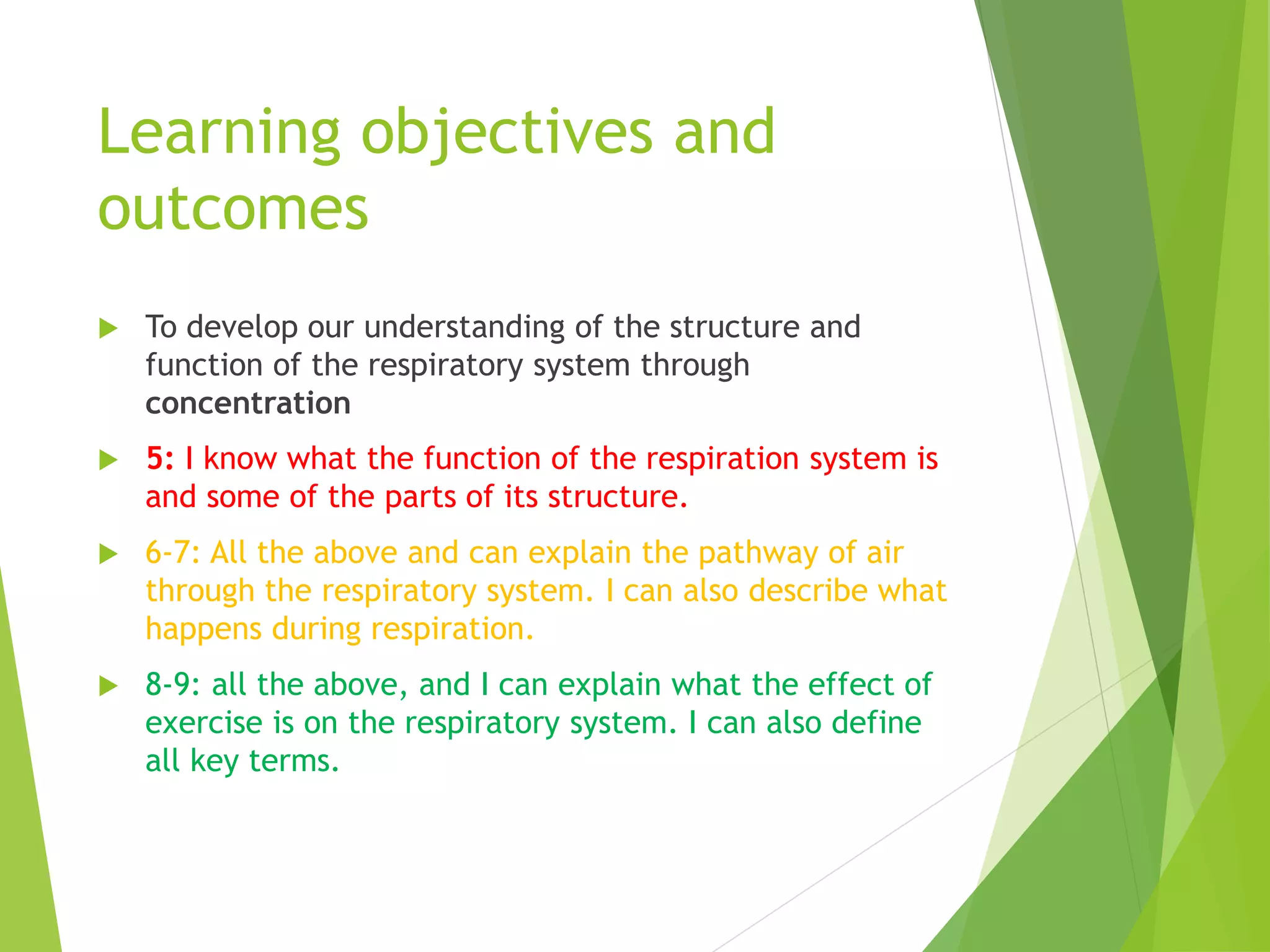 The Structure and Function of the Respiratory System PowerPoint (2).pdf | Lung and Respiratory ...