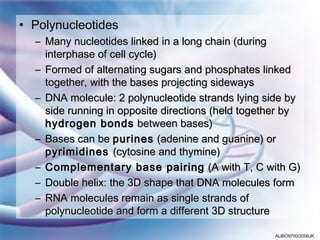 01 The Structure and Replication of DNA | PPT