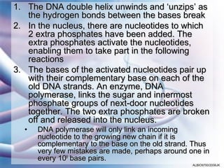 01 The Structure and Replication of DNA | PPT