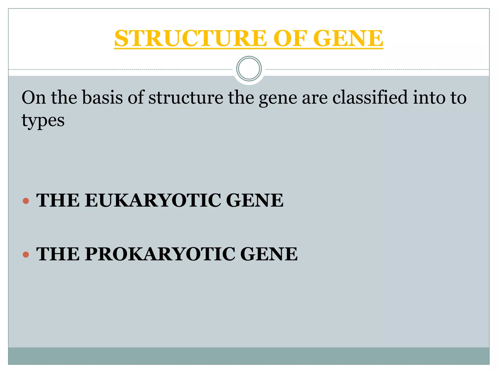 The structure & function of genes | PPTX