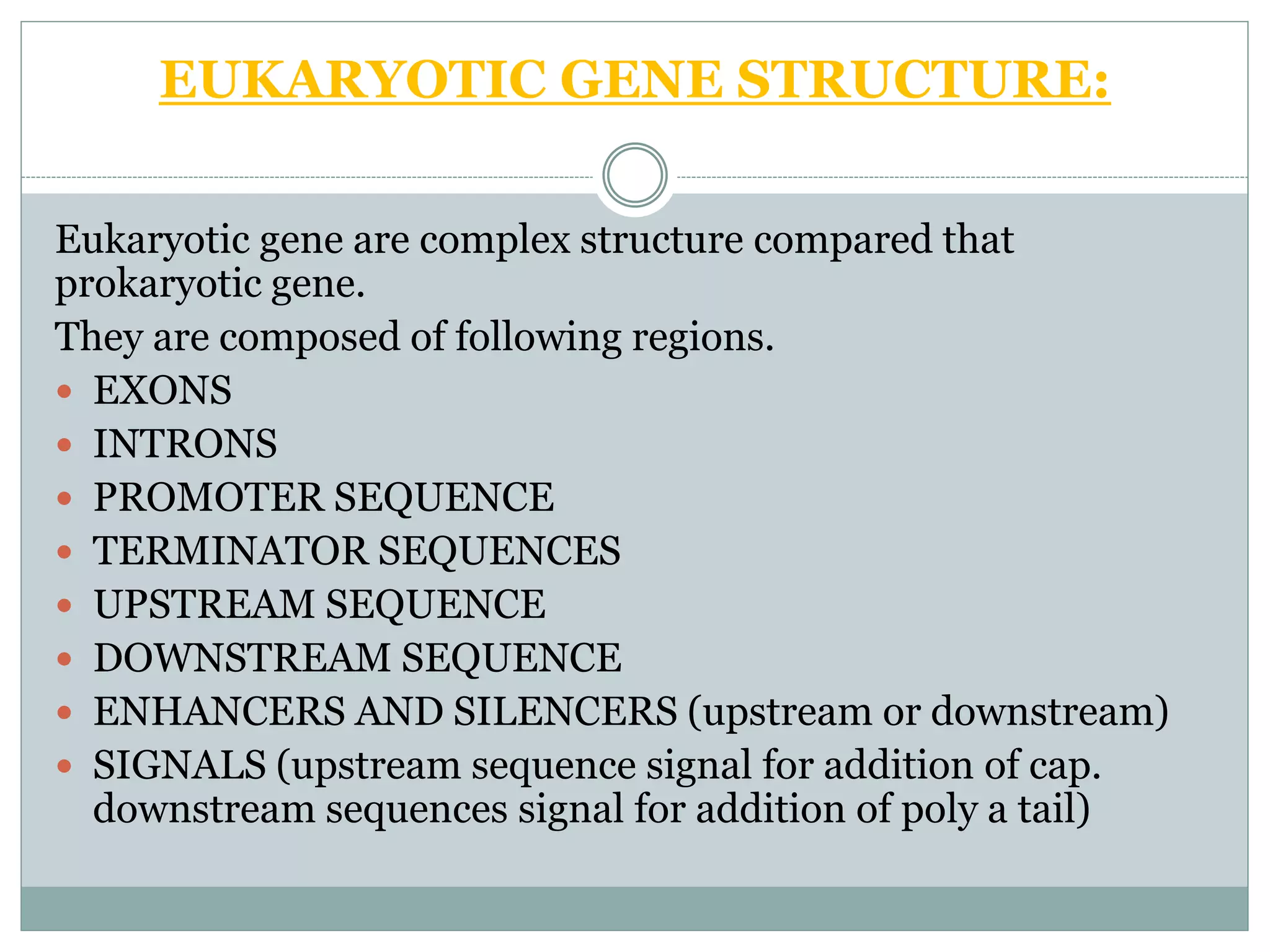 The structure & function of genes | PPTX