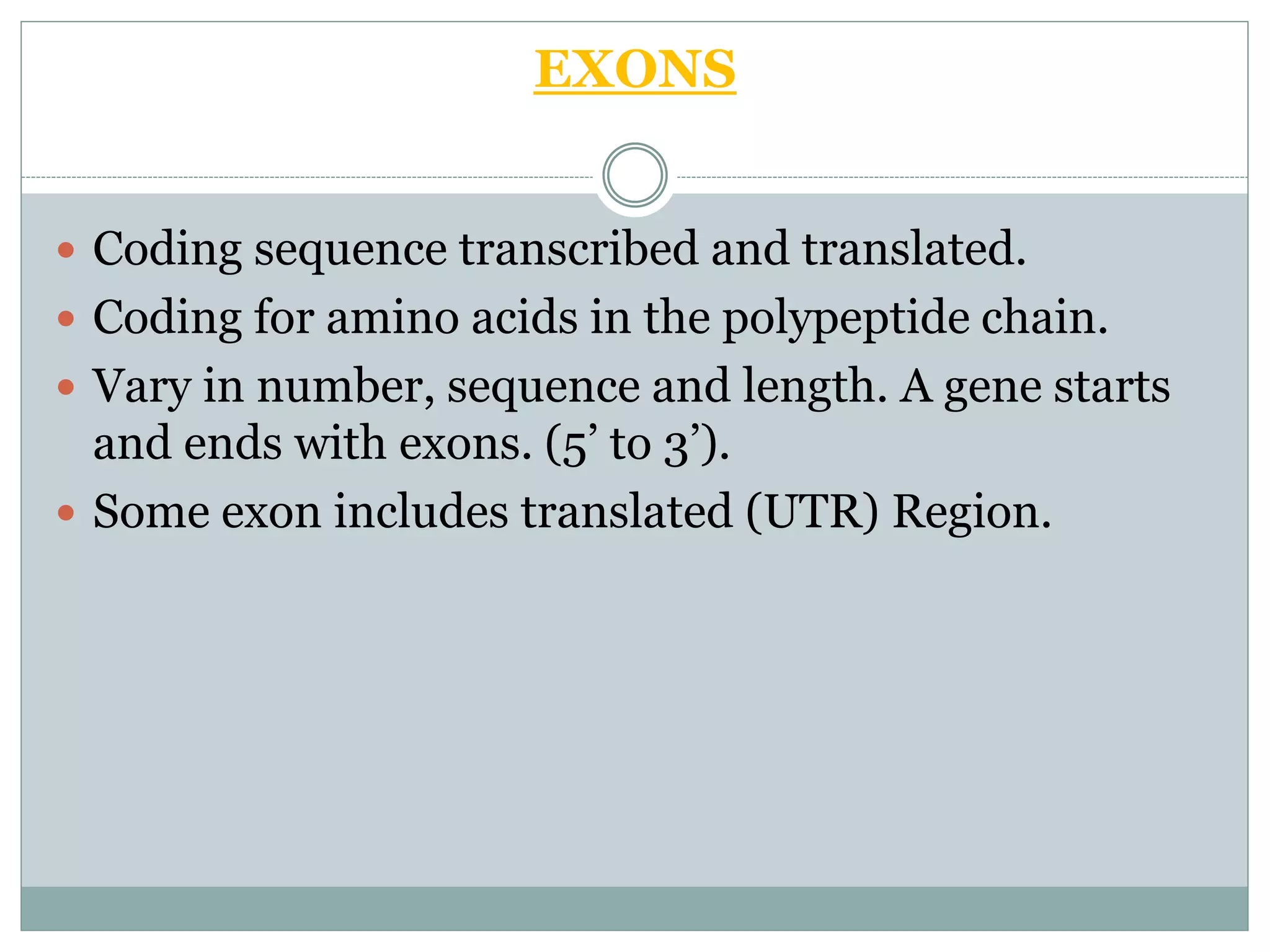 The structure & function of genes | PPTX | Genetics | Science