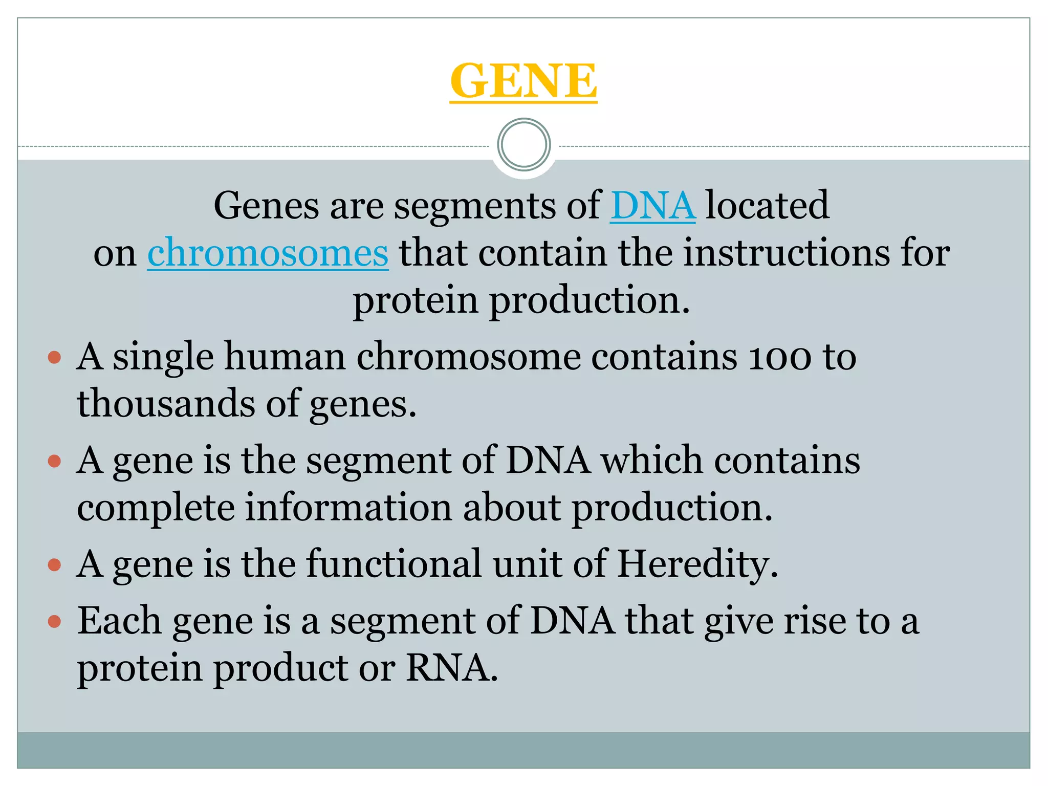 The structure & function of genes | PPTX