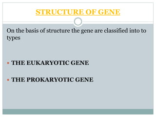 The structure & function of genes | PPTX