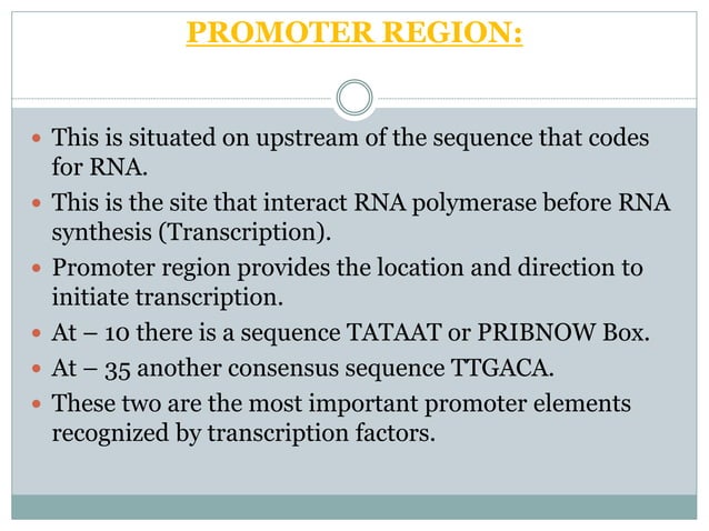 The structure & function of genes | PPTX | Genetics | Science