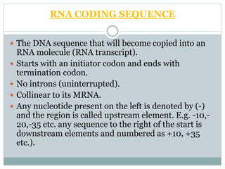 The structure & function of genes | PPTX | Genetics | Science