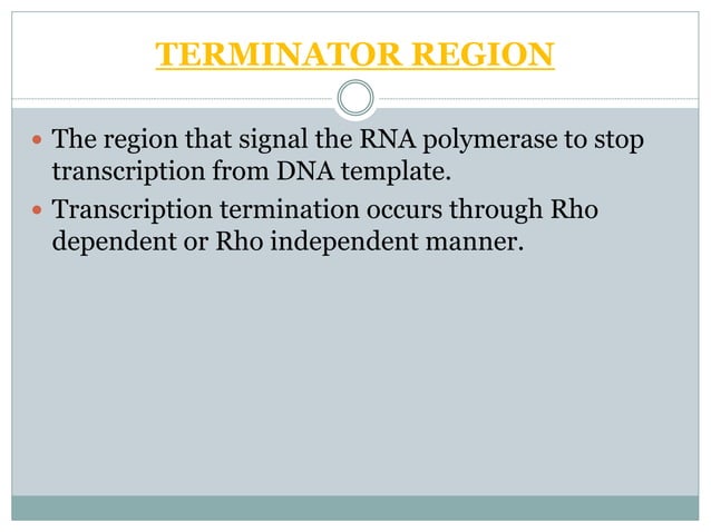 The structure & function of genes | PPTX | Genetics | Science