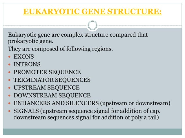 The structure & function of genes | PPTX | Genetics | Science