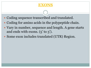 The structure & function of genes | PPTX
