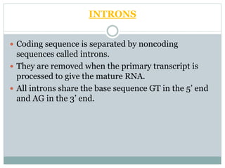 The structure & function of genes | PPTX
