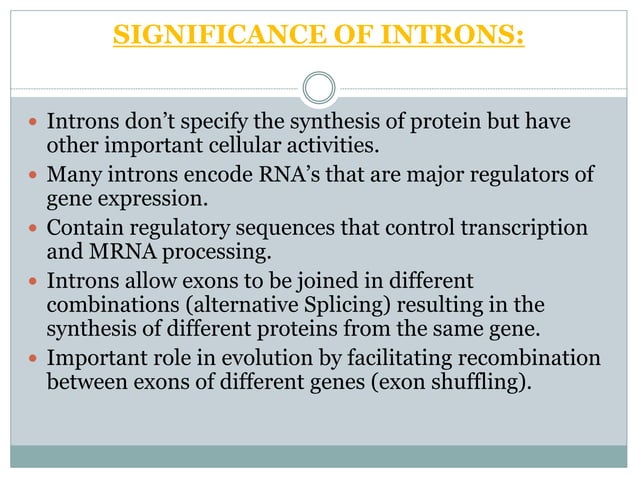The structure & function of genes | PPTX | Genetics | Science