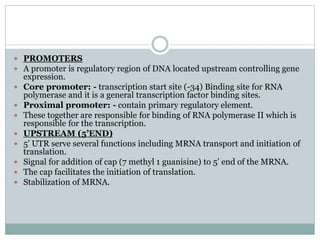 The structure & function of genes | PPTX