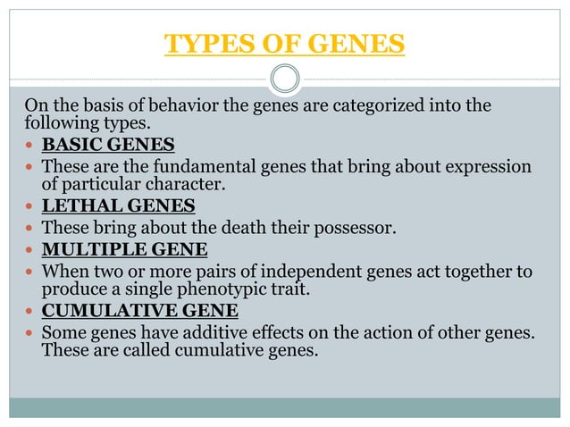 The structure & function of genes | PPTX | Genetics | Science