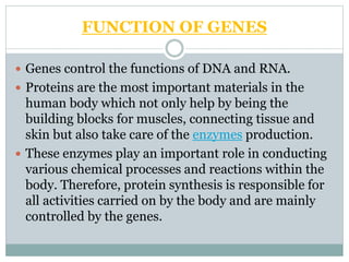 The structure & function of genes | PPTX
